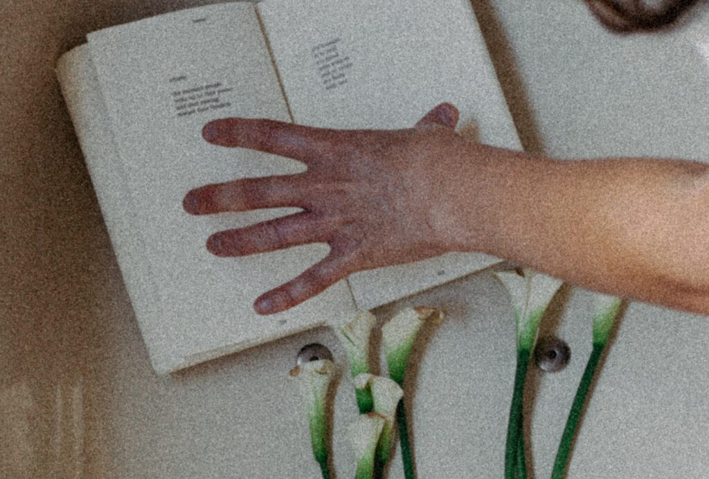 Offline | With Alison Rice